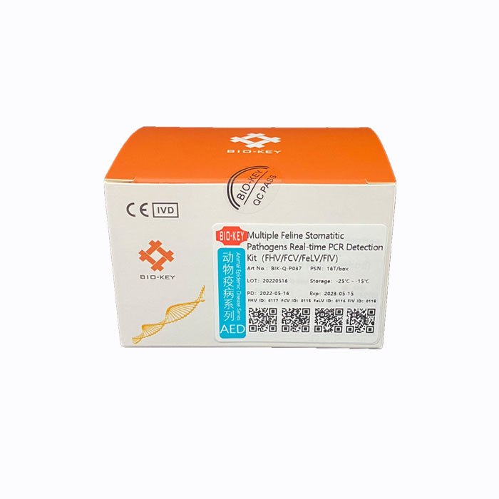 FHV Multiplex Kedi Kedi Test Kiti Stomatitis Real Time PCR Tespit Kiti ...